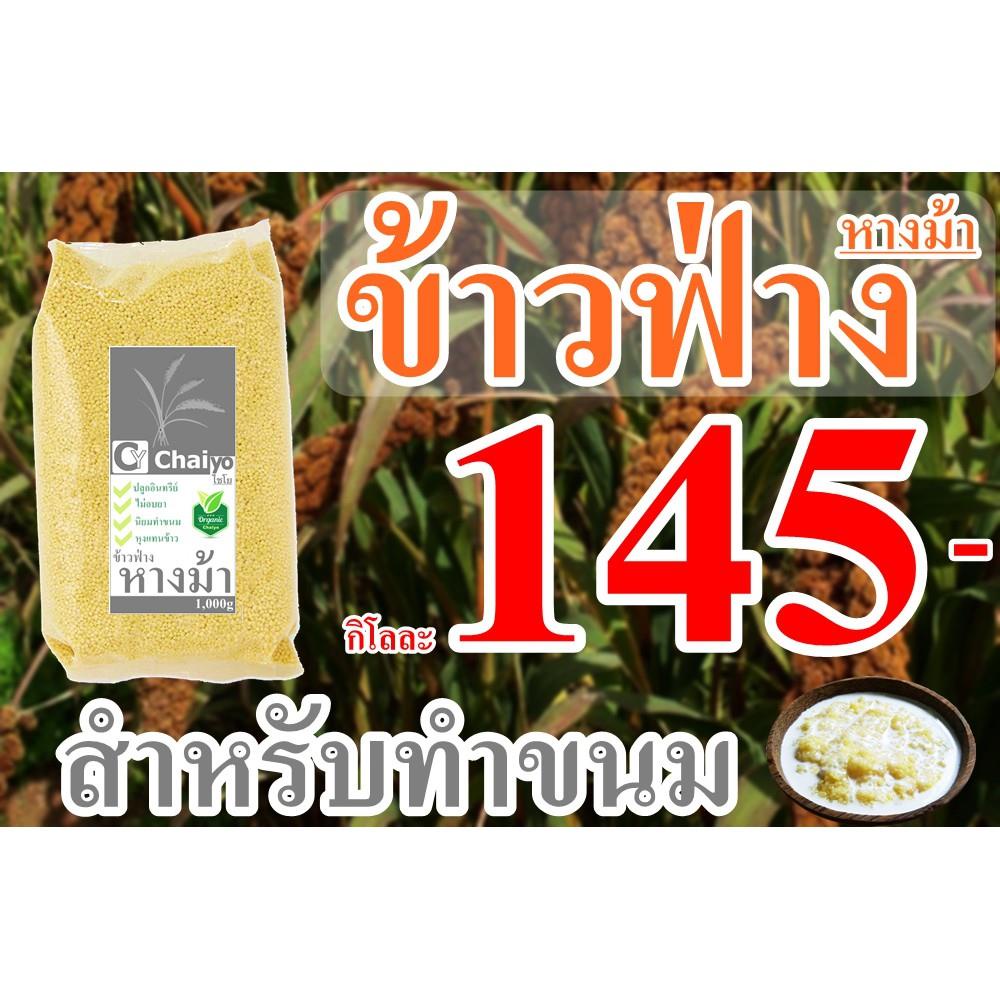 ข้าวฟ่าง หางม้า 1,000g สำหรับทำขนม Chaiyo | Shopee Thailand