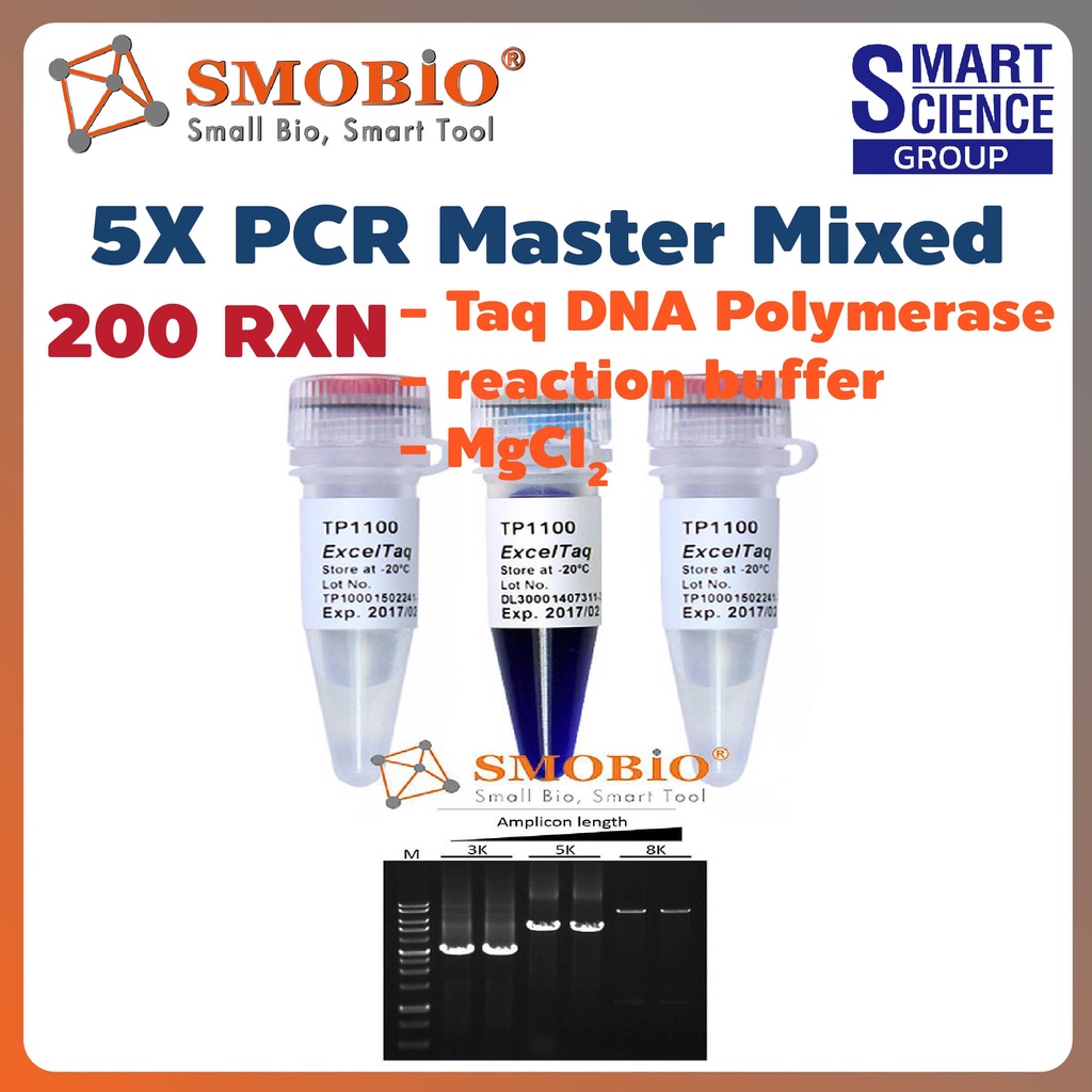 ExcelTaq 5X PCR Master Mix Ready to Use 200 RXN PCR Applications ...