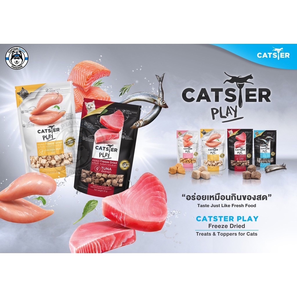 Catster Play ขนมฟรีซดาย สำหรับแมว ทำจากเนื้อสัตว์ 100% (40 g.) | Shopee ...