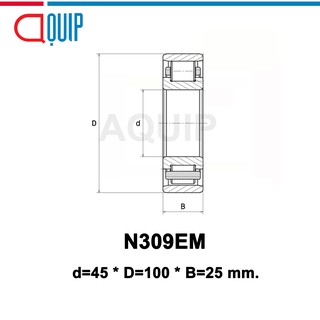 N309EM UBC ตลับลูกปืนเม็ดทรงกระบอก N309 EM ( Cylindrical Roller Bearings ) N 309 EM | Shopee ...