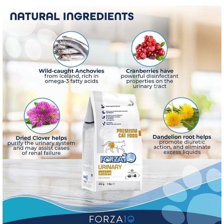 *พร้อมส่งอหแมวโรคปัสสาวะอักเสบ รสแซลมอน Forza10 Active Urinary Dry Cat Food, Urinary Tract ...