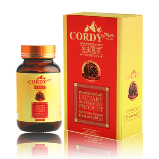 cordy ราคาพิเศษ | ซื้อออนไลน์ที่ Shopee ส่งฟรี*ทั่วไทย!
