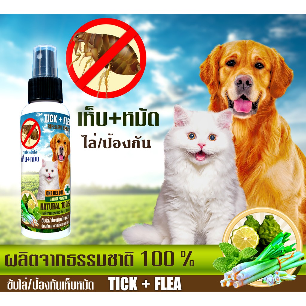 สเปรย์กำจัดเห็บหมัด ONE DEE JOE กำจัดเห็บ หมัด ยุง แมลง เลียได้ปลอดภัย ...