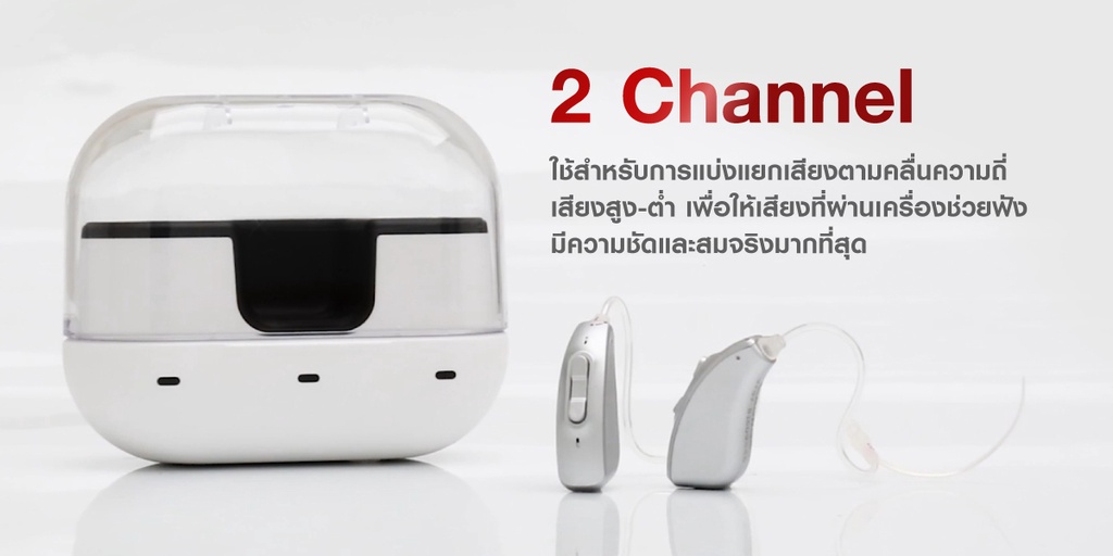 CRONOS รุ่น EP08 เครื่องช่วยฟังดิจิตอล รุ่นชาร์จไฟ (ใหม่ล่าสุด) 2ชาแนล ลดเสียงรบกวนอัตโนมัติ ...