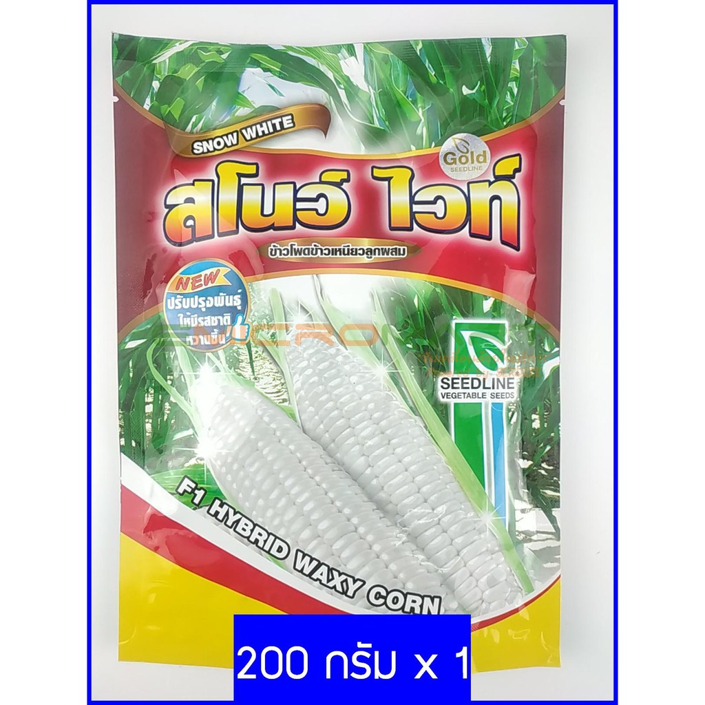 🌱 200g SEEDLINE เมล็ดพันธุ์ ข้าวโพด ข้าวเหนียวหวานลูกผสม พันธุ์สโนว์ไวท์ (Snow White F1 Hybrid ...