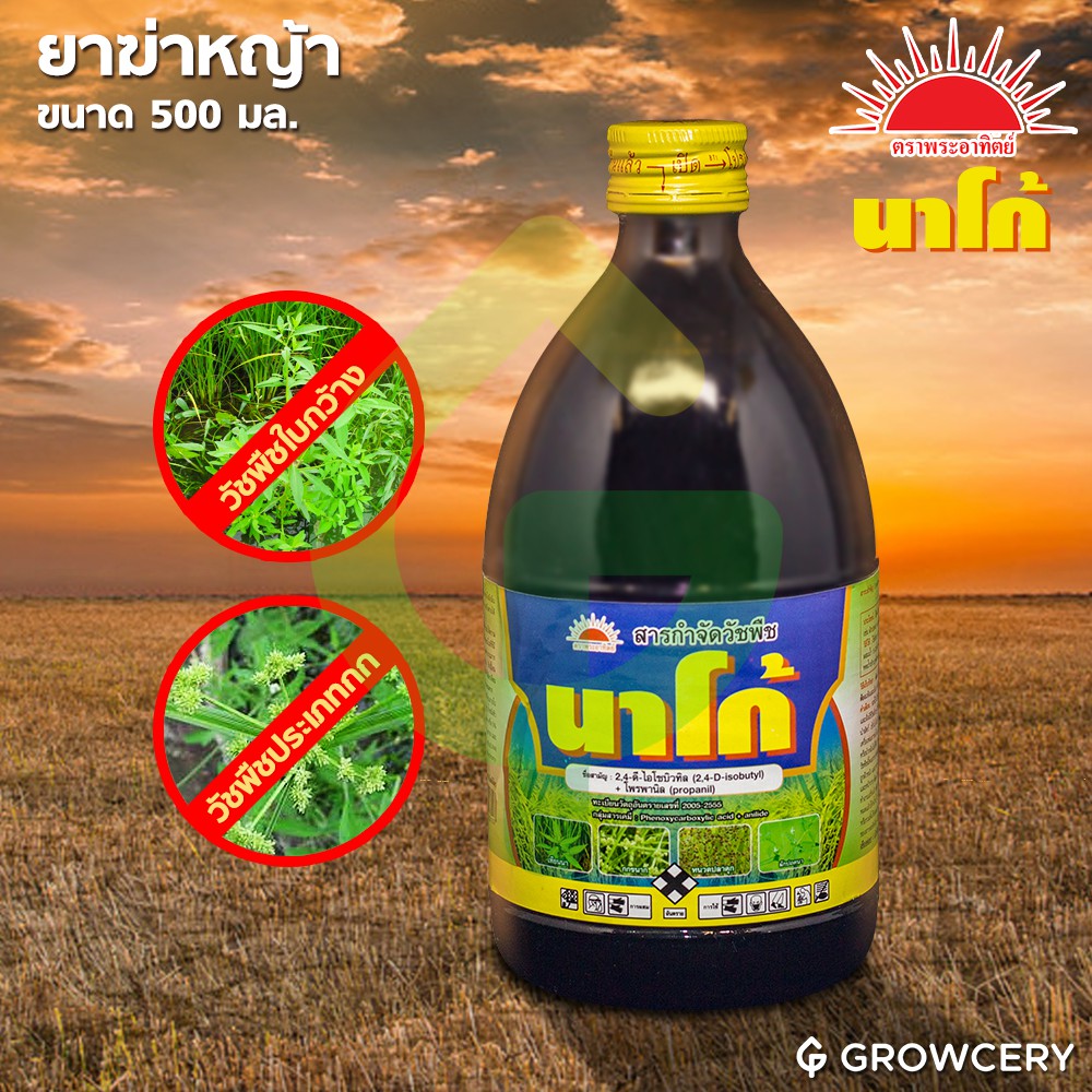 [G] นาโก้ ยากำจัดวัชพืช สารกำจัดวัชพืช ขนาด 500 มล. ยี่ห้อ ตราพระอาทิตย์ (ใช้กำจัดวัชพืชใบกว้าง ...
