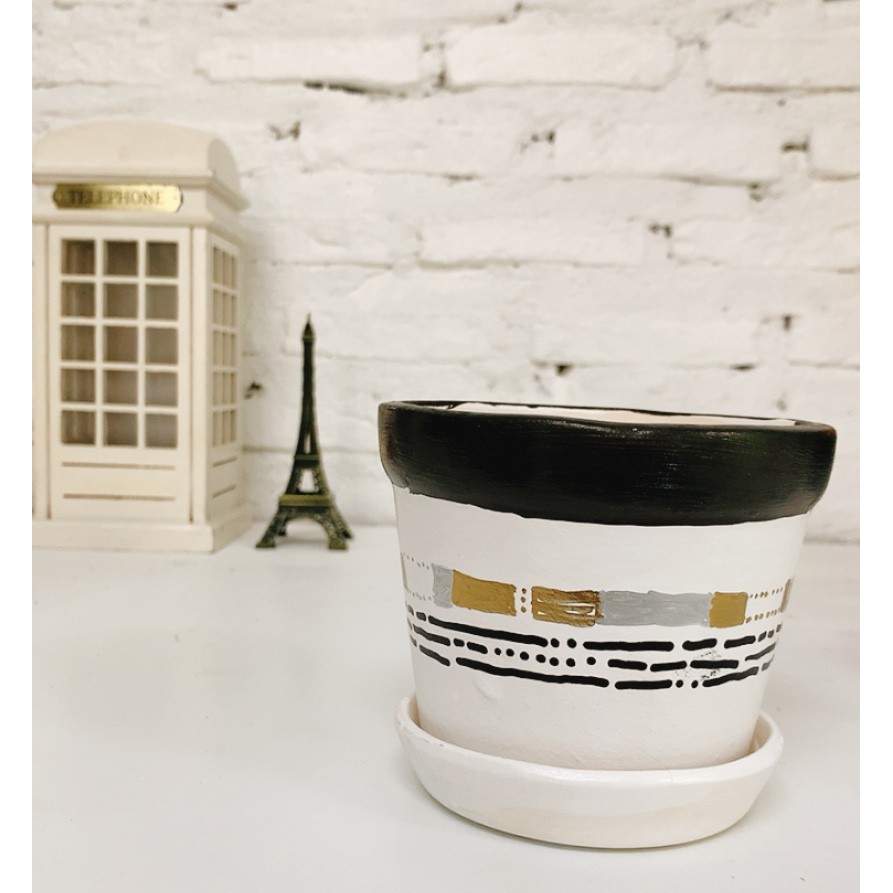 กระถางแคคตัส Socity 1 ใบพร้อมจานรอง | Shopee Thailand