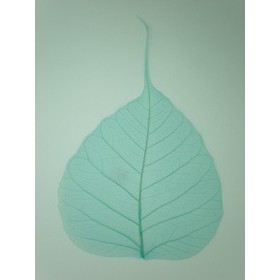 โครงใบไม้ 25 ชิ้น Turquoise (Standard Bo Skeleton Leaves) | Shopee Thailand