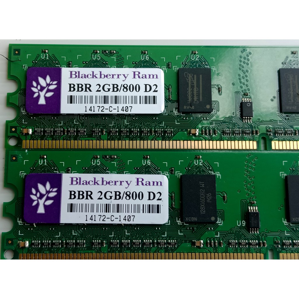 แรมPC blackberry DDR2 Bus800 2GB มือสอง ราคาถูก | Shopee Thailand