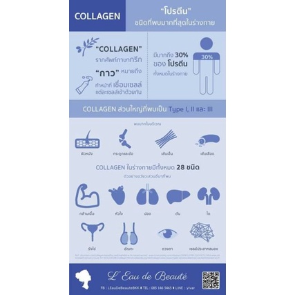 I dara pure collagen | Shopee Thailand