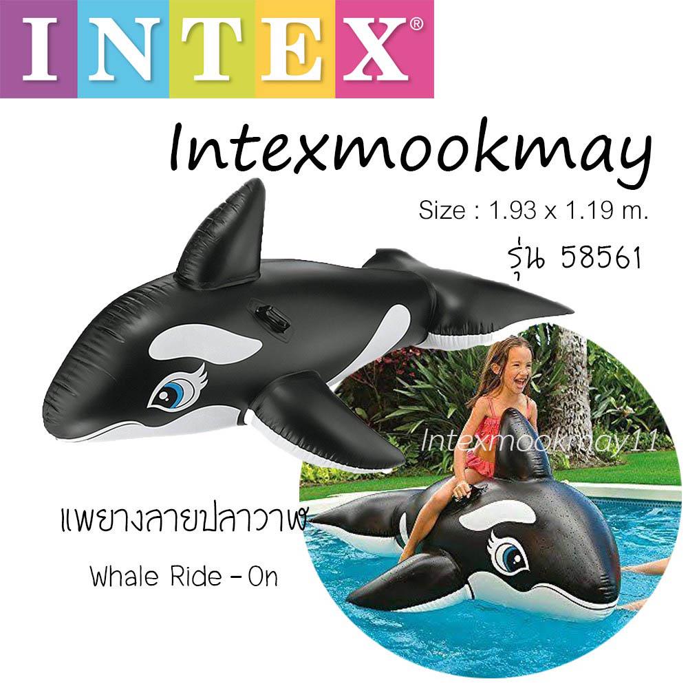 Intex 58561 แพยางปลาโลมาสีดำ **ของใหม่**ของแท้ **จัดส่งไว | Shopee Thailand