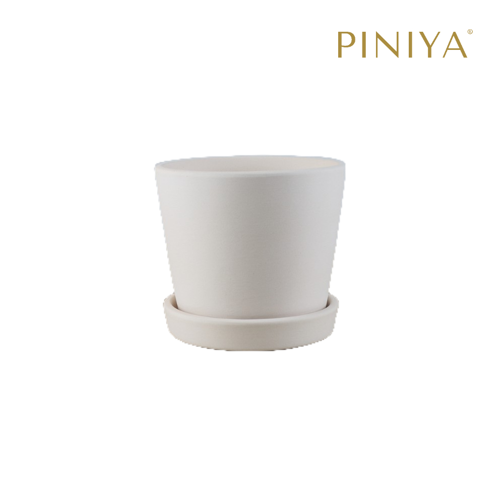 Piniya พินิยา - Chomphu ชมพู กระถางต้นไม้, ดินเผา, 12ซม., สีครีม, พร้อม ...