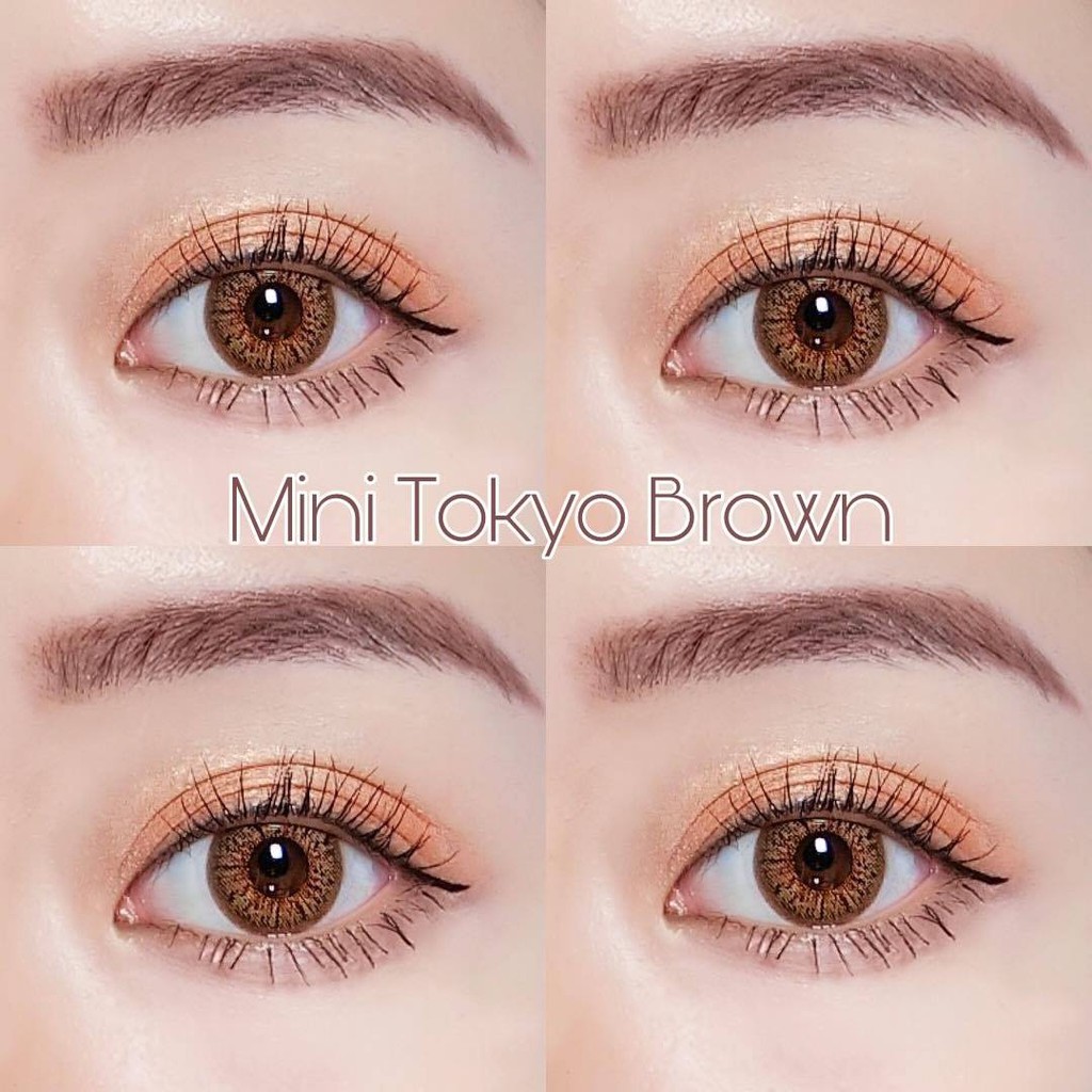 Mini Tokyo Brown Dreamcolor1 | Shopee Thailand
