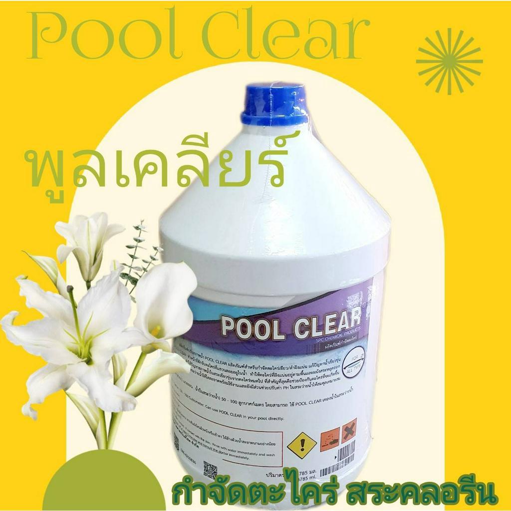 Pool Clear พูลเคลียร์ 3.8 ลิตร ผลิตภัณฑ์ปรับสภาพน้ำ สำหรับกำจัดตะไคร่ ...
