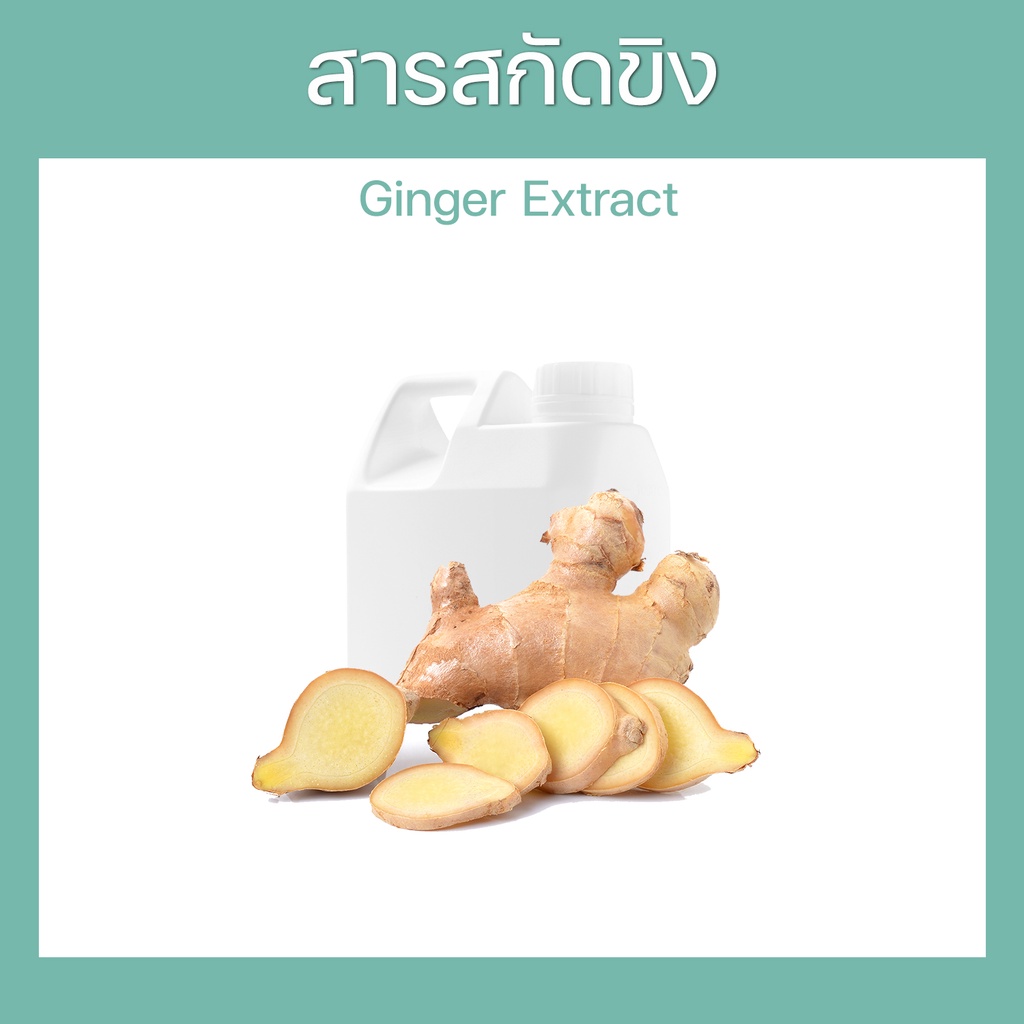 สารสกัดขิง Ginger Extract ( Zingiber Officinale Root ) ชนิดน้ำ สำหรับ ...