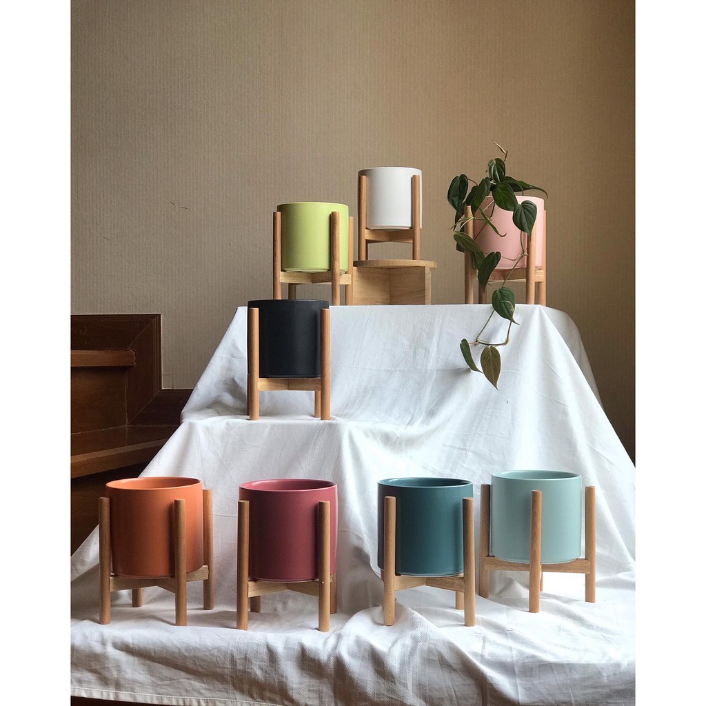 Little Stand Collection | Shopee Thailand