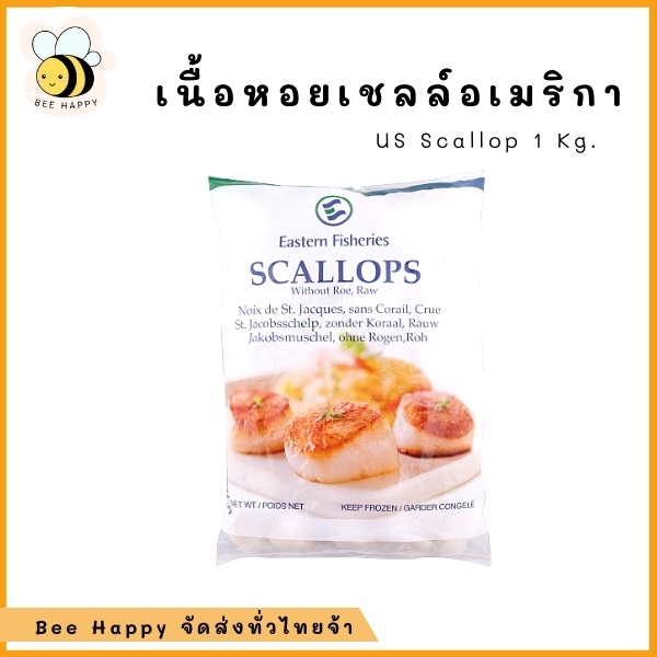 หอยเชลล์อเมริกา (US Scallop) (22-32 ตัวต่อแพ๊ค) | Shopee Thailand