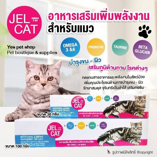 JEL CAT อาหารเสริมเพิ่มพลังงานสำหรับแมว บำรุงขน-ผิว เสริมสร้างภูมิ ...