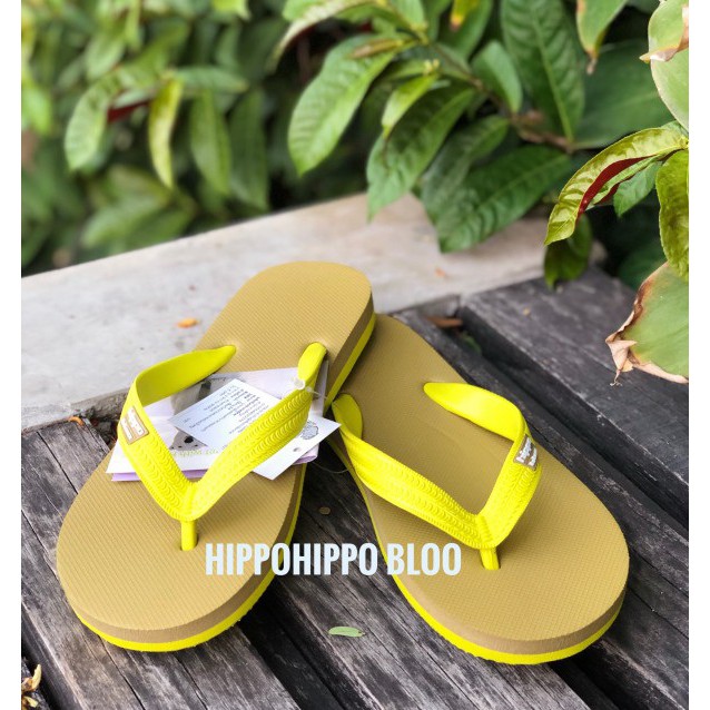 เหลือง หูเหลืองมะนาว รองเท้าแตะฮิปโป Yellow yellow Hippo Bloo shoe No ...