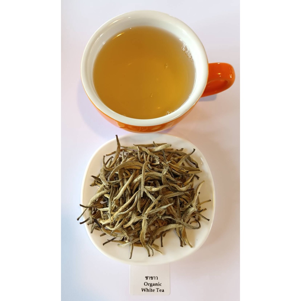 ชาขาวอัสสัม ออร์แกนิค (ตราดอยปู่หมื่น) 1 กก. Organic assam white tea ...