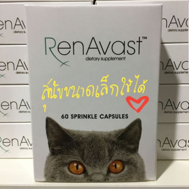 renavast อาหารเสริมบำรุงไต สุนัขขนาดเล็ก ต่ำกว่า 5 กิโล อาหารเสริมโรคไต ...
