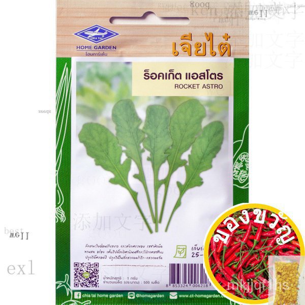 ร็อคเก็ต แอสโตร Rocket Astro เจียไต๋ เมล็ดพันธุ์ตราเครื่องบิน พันธุ์ ...