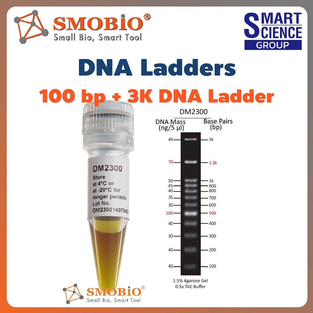 DM2300 ExcelBand DNA Ladder 100 bp + 3K 500 uL DNA Marker PCR gel electrophoresis SMOBIO ...