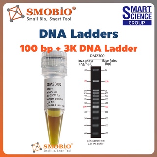 DM2300 ExcelBand DNA Ladder 100 bp + 3K 500 uL DNA Marker PCR gel ...
