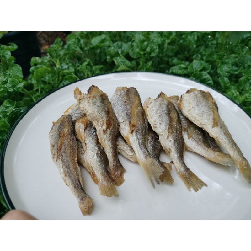 ปลาจวดแดดเดียวทอด พร้อมทาน(sun dried salted fish in vacuum pack/150 ...