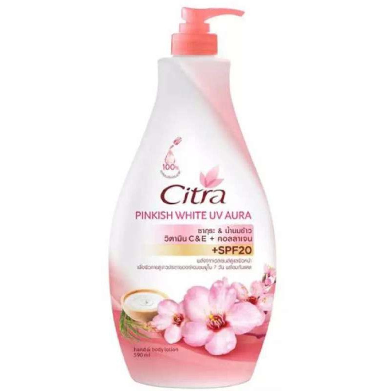 ( 2 ขวด ) Citra sakura pinkish White UV Aura 300 ml. ซิตร้า โลชั่นบำรุง ...