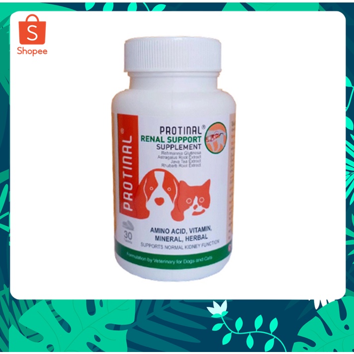วิตามินบำรุงไต Protinal สำหรับสุนัขและแมว ชนิดเม็ด 30 เม็ด | Shopee ...