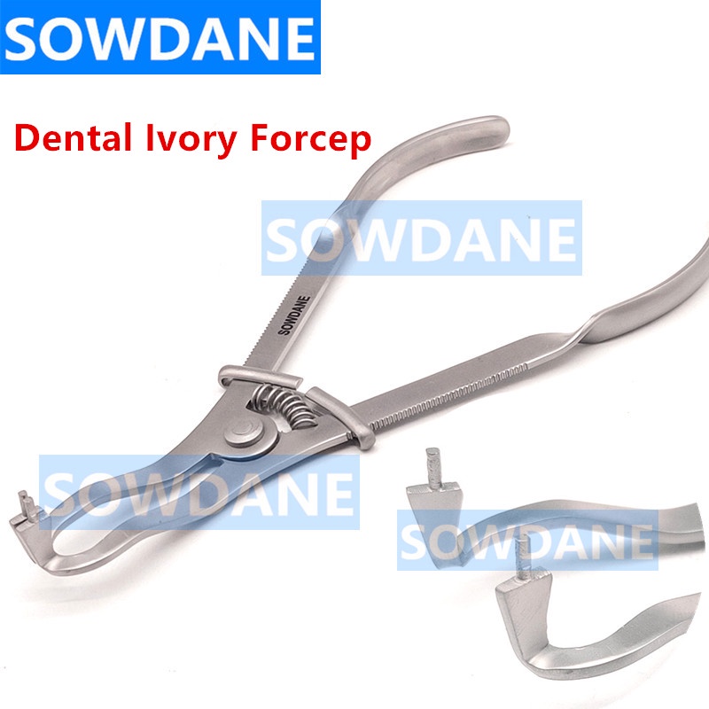 Stainless Steel Dental Matrics Forceps Matrice Matrix Ivory Forcep ...