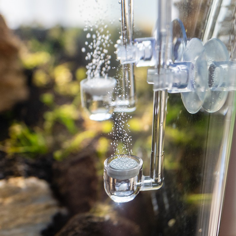 Co2 Mini Diffuser หัวดิปฟองละเอียด | Shopee Thailand