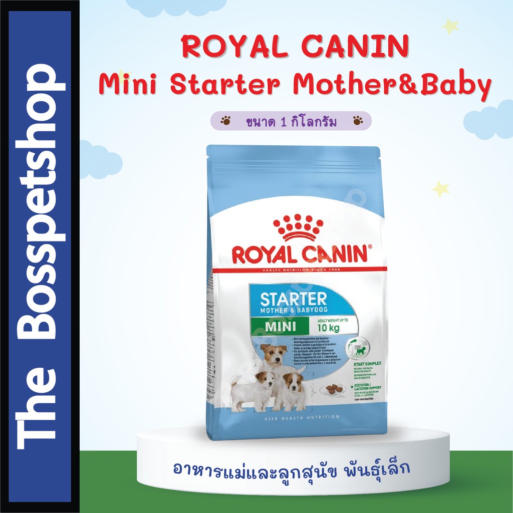Royal Canin STARTER MINI 1 Kg | Shopee Thailand