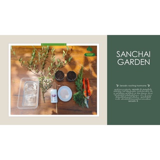 hormone rooting powder (Seradix) | Shopee Thailand