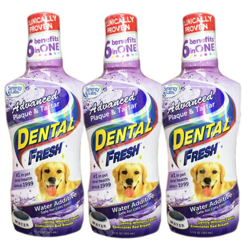 น้ำยาขจัด กลิ่นปาก และคราบหินปูน สุนัขและแมว 503มล.(3ขวด)Dental Fresh ...