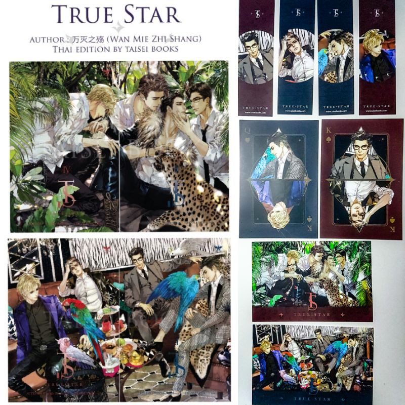 นิยาย True Star (4 เล่มจบ) | Shopee Thailand
