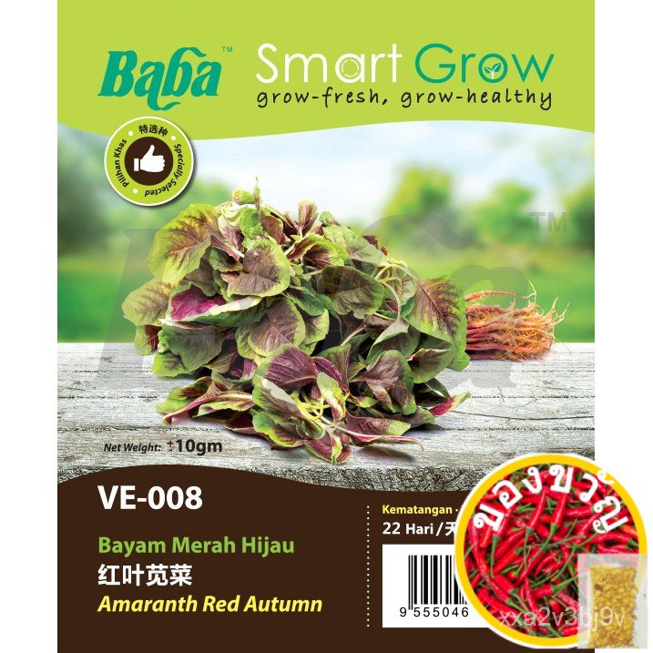 Baba Smart Grow Seeds VE-008 Amaranth Red Autumn (Bayam Merah Hijau ...
