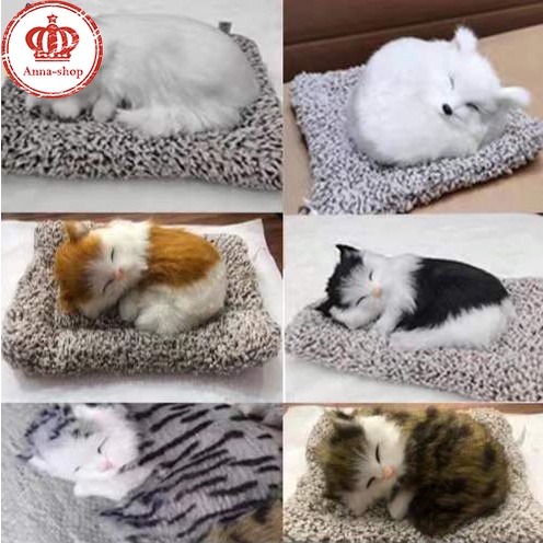 ⭐ลูกค้าใหม่1฿⭐ตุ๊กตาดูดกลิ่น น้อนหมา น้อนแมว 10 แบบ ตัวเล็ก A101 A102 A103 A104 A105 A106 A107 ...