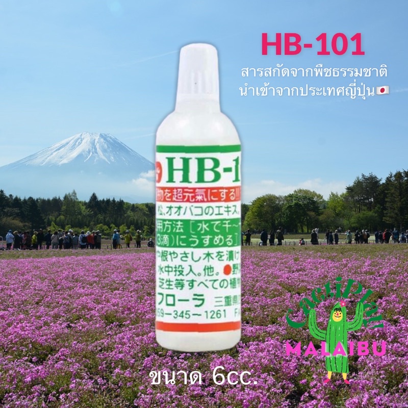 HB101 อาหารเสริมพืช เอชบีเอช101ปุ๋ยน้ำ ขนาด6cc. นำเข้าจากญี่ปุ่น | Shopee Thailand