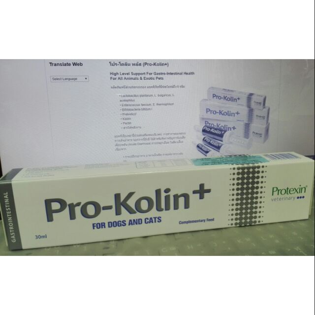 อาหารเสริม Pro-kolin + (โปรโคลิน พลัส support for gastro intestinal ...
