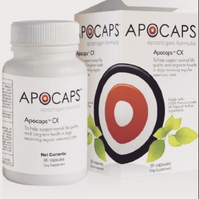 APOCAPS #ยารักษามะเร็งสุนัข | Shopee Thailand