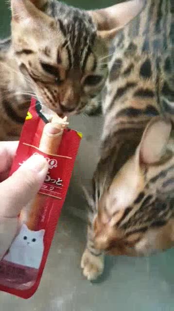 Ciao Churutto-Churubee Stick เชาชูหรุโตะ 7gx4/ชูหรุบี10gx3 สติ๊ก ขนมแมวเลียสอดไส้ | Shopee Thailand