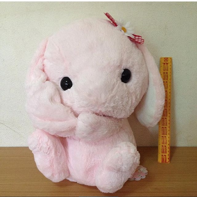 Loppy | Shopee Thailand