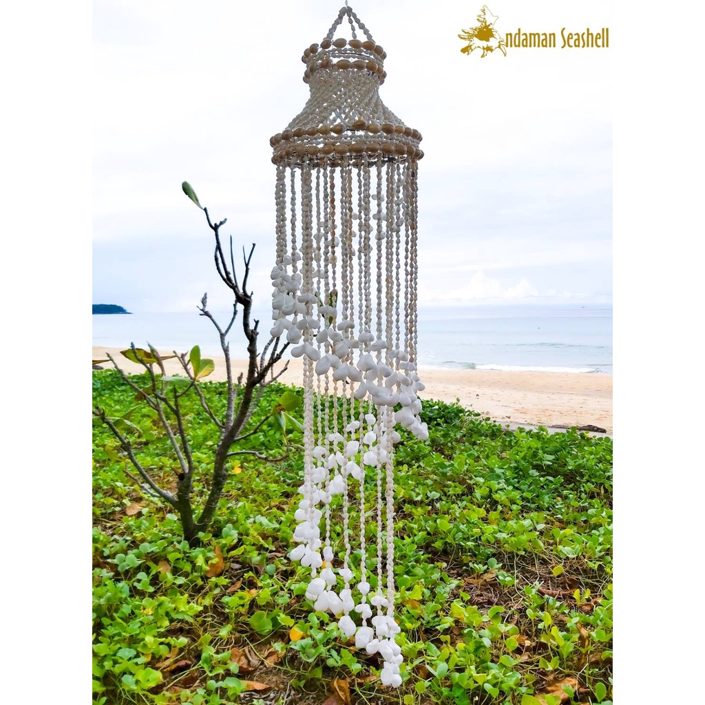 Andaman seashell โมบายแชนเดอเรียเปลือกหอย ทรงบันไดวน หอย Moonshell 8 x ...