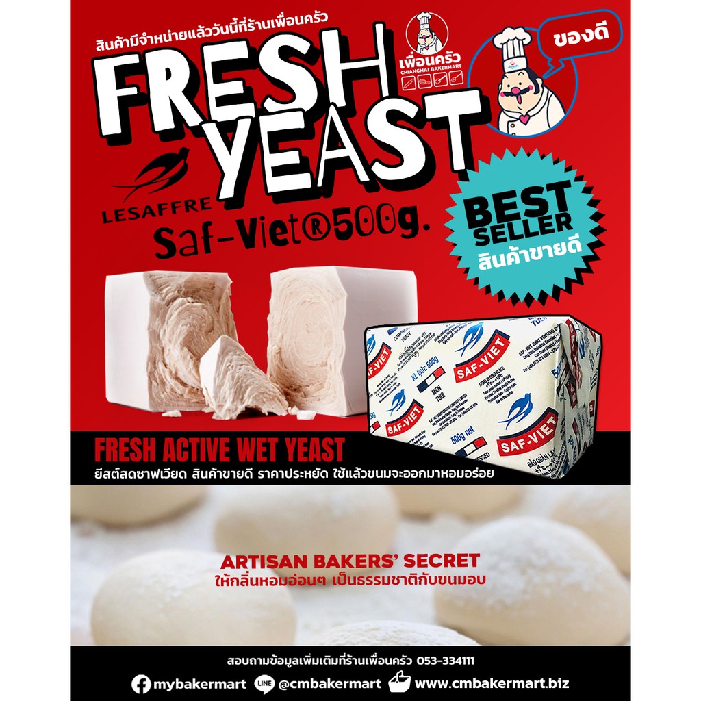 (เซท 2 ก้อน) ยีสต์สด Saf Viet (Fresh Yeast) 500 G. x 2 ส่งฟรีแบบแช่เย็น ...