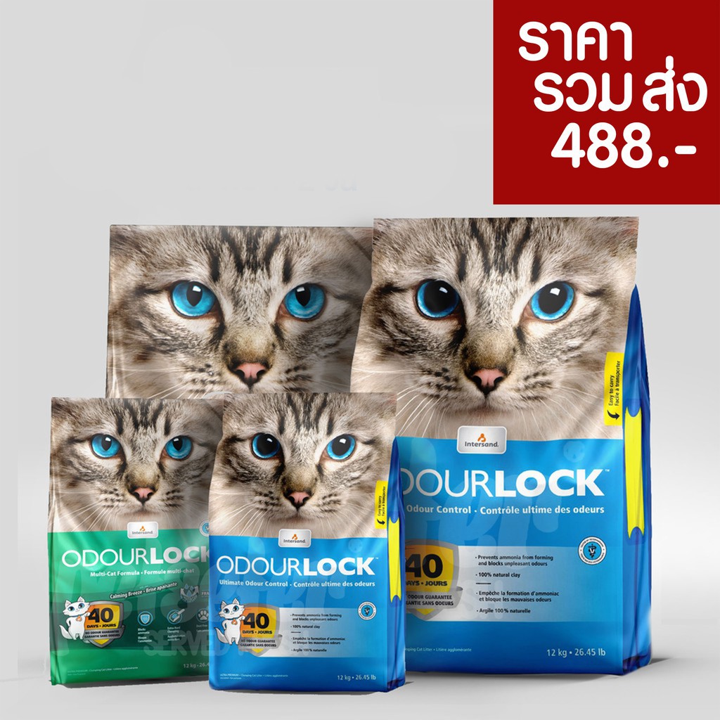 ทรายแมว OdourLock 12 Kg. จัดด่วน cat litter เกรดอัลตราพรีเมียม 12 กก. ...