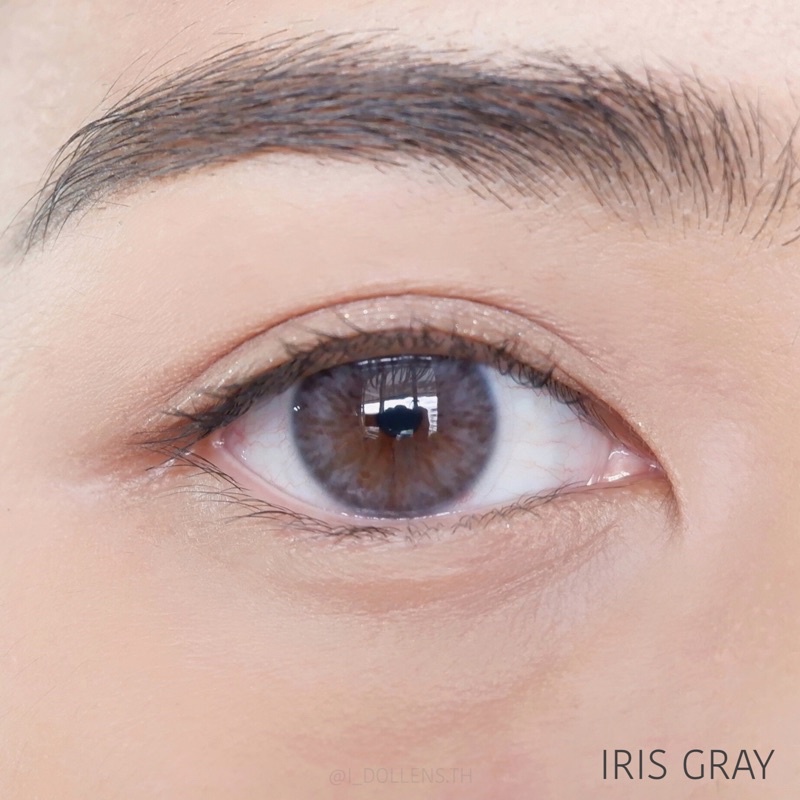 SIESTA IRIS CL COLOR 3 สี ราย 6 เดือน (Made in Korea) | Shopee Thailand