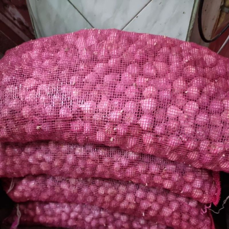 กระเทียมโทนยกกระสอบไม่คัดน้ำหนักโดยประมาณ10กิโลกรัม | Shopee Thailand