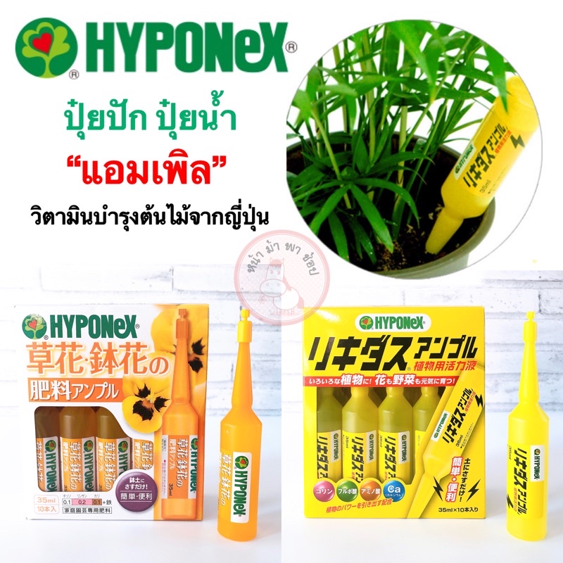 ไฮโพเนกซ์แอมเพิล Hyponex Ampoule ปุ๋ยปัก ปุ๋ยน้ำ สีเหลือง สีส้ม ขายดี ...